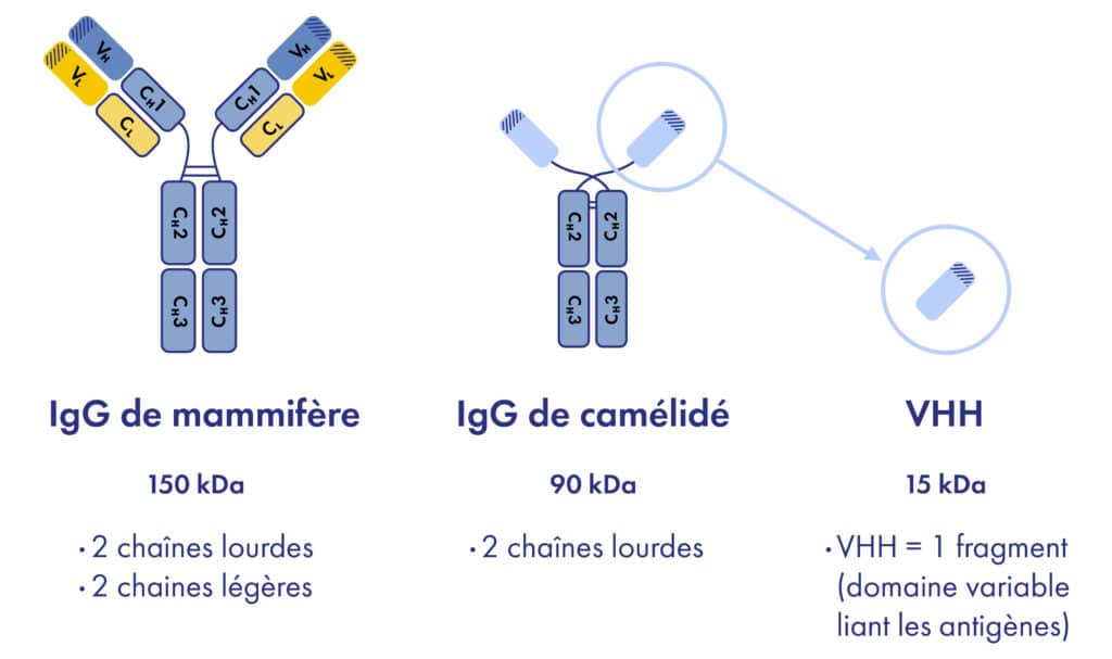 Projets scientifiques - BioAZ
